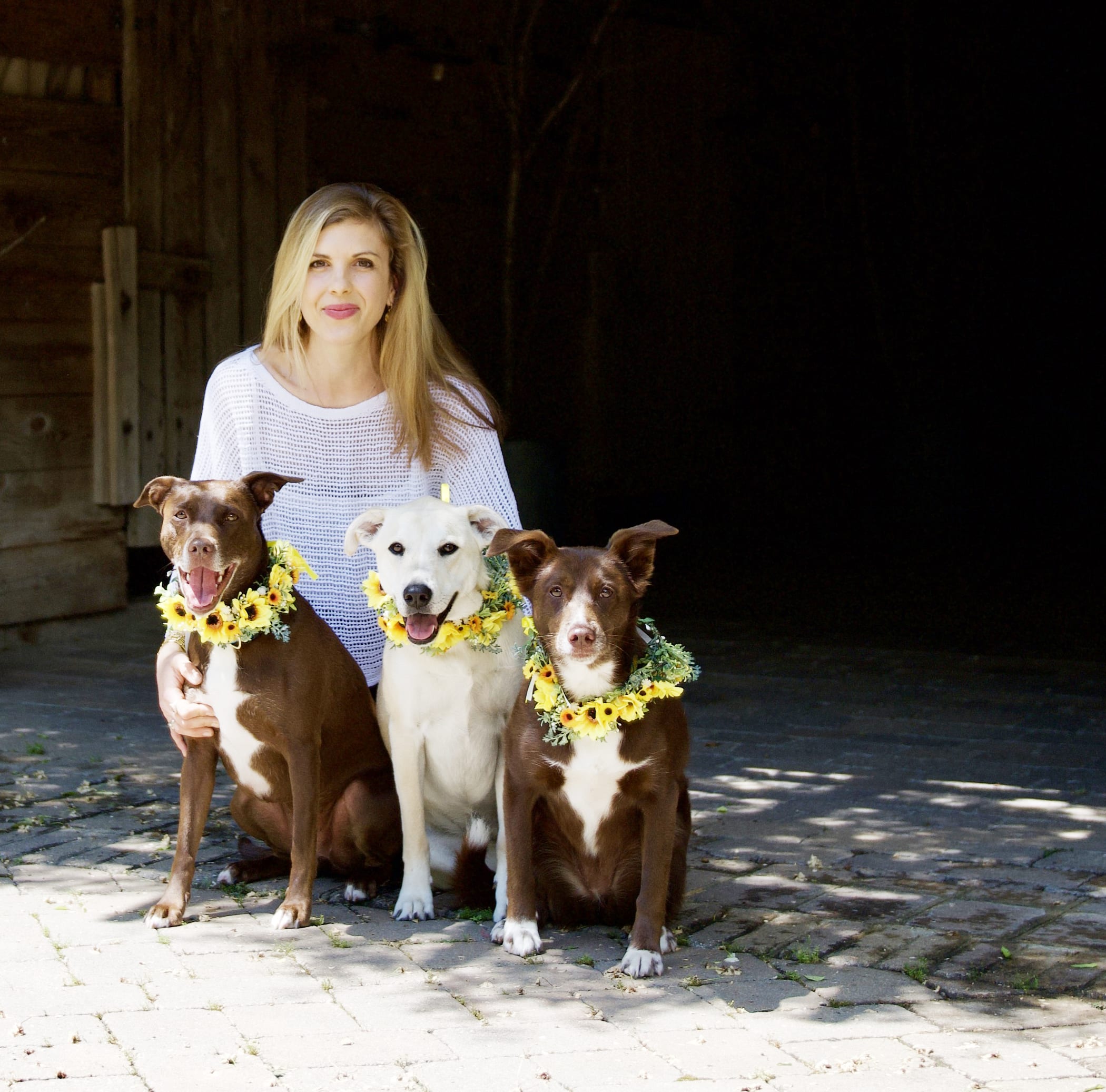 Why One CARE Volunteer Fosters Pups in Need - Chatham Magazine